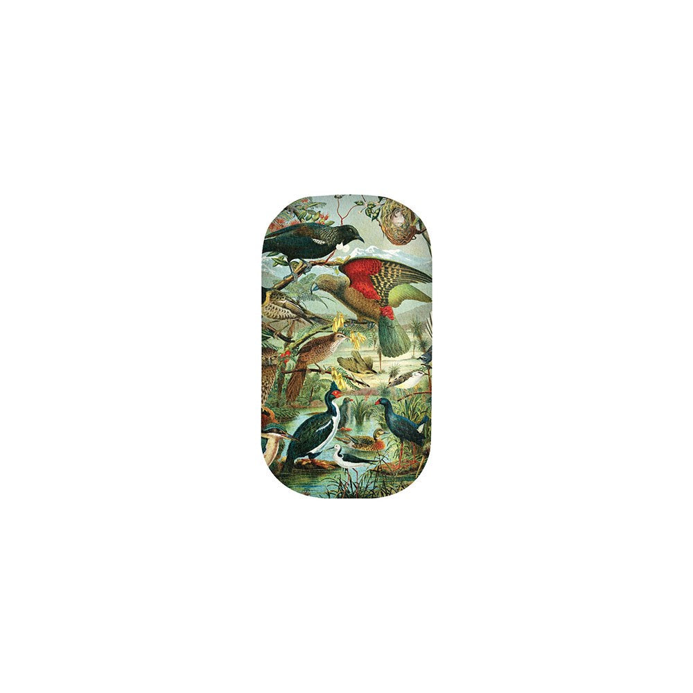 NZ Native Birds Trinket Box – gecko in the village