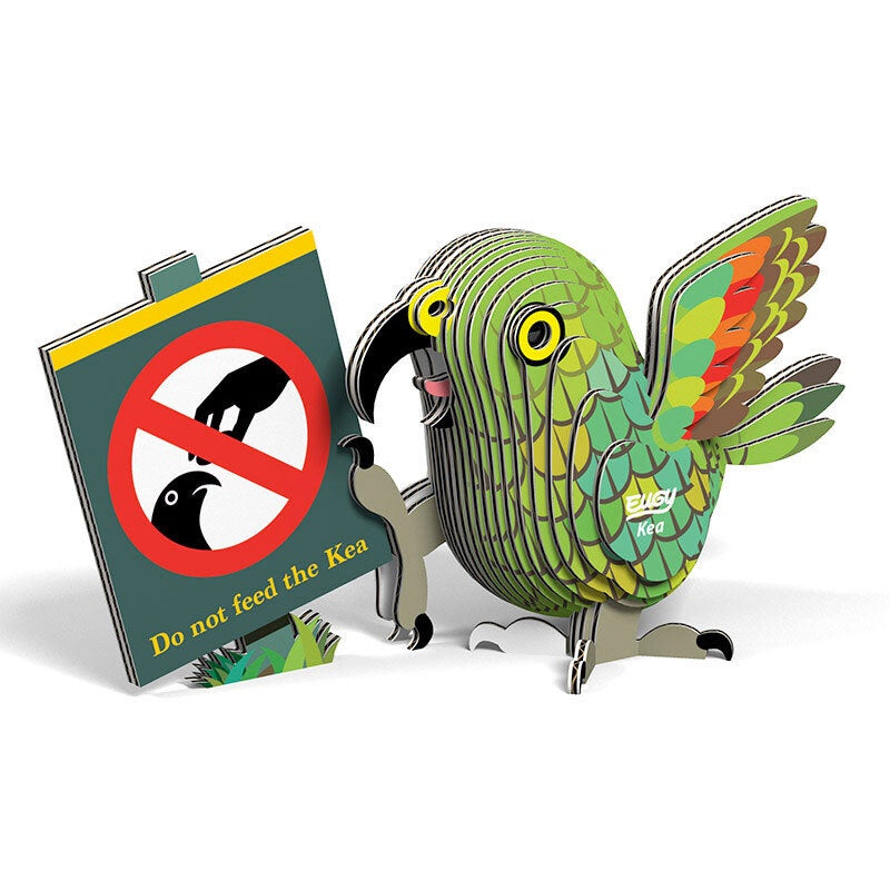 3D Cardboard Kit Set - Kea – gecko in the village